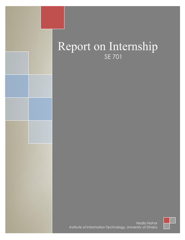 Internship Final Report | PDF