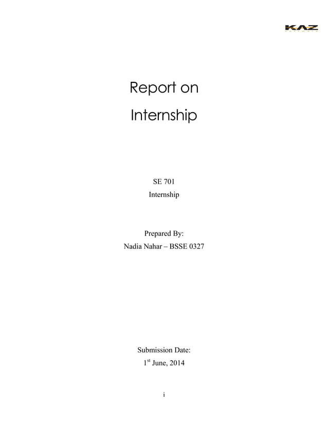 Internship Final Report | PDF