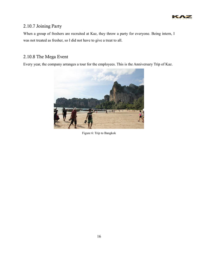 Internship Final Report | PDF