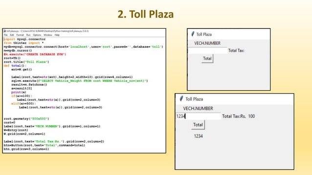 Python Summer Internship Pptx Programming Languages Computing