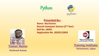 Python Summer Internship | PPTX