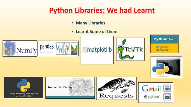 Python Summer Internship