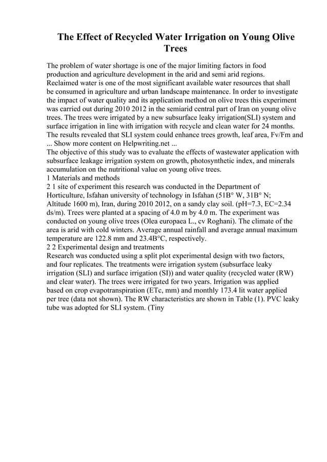 Internship Essay Sample.pdf