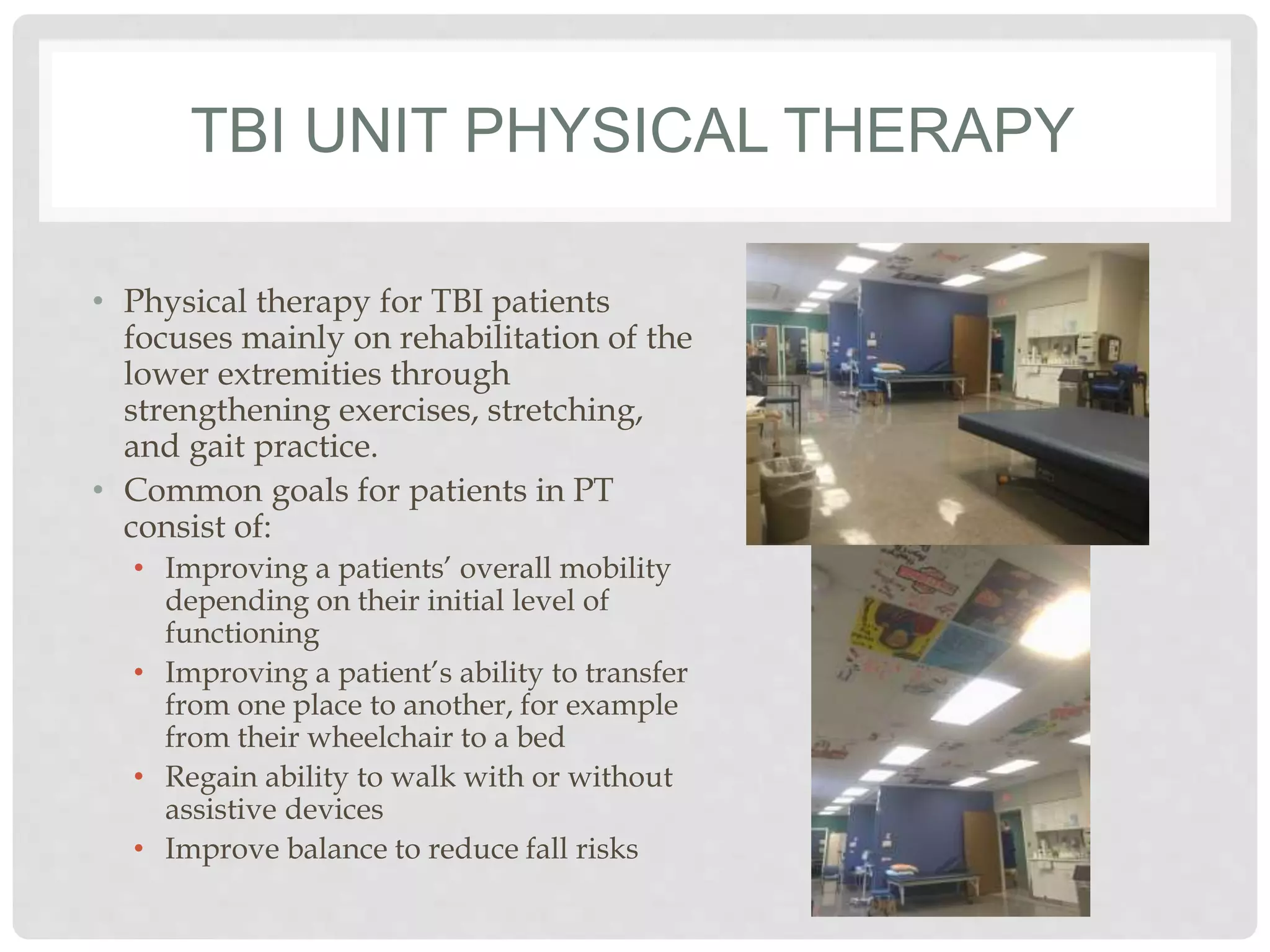 Internship Experience Powerpoint | PPTX | Physical Therapy | Wellness