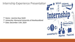 Internship Experience Presentation Document | PPTX