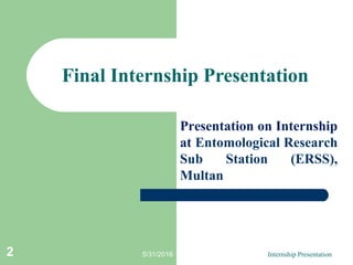 Mr. Muhammad Salah-ud-Din Internship presentation | PPT | Agriculture | Industries