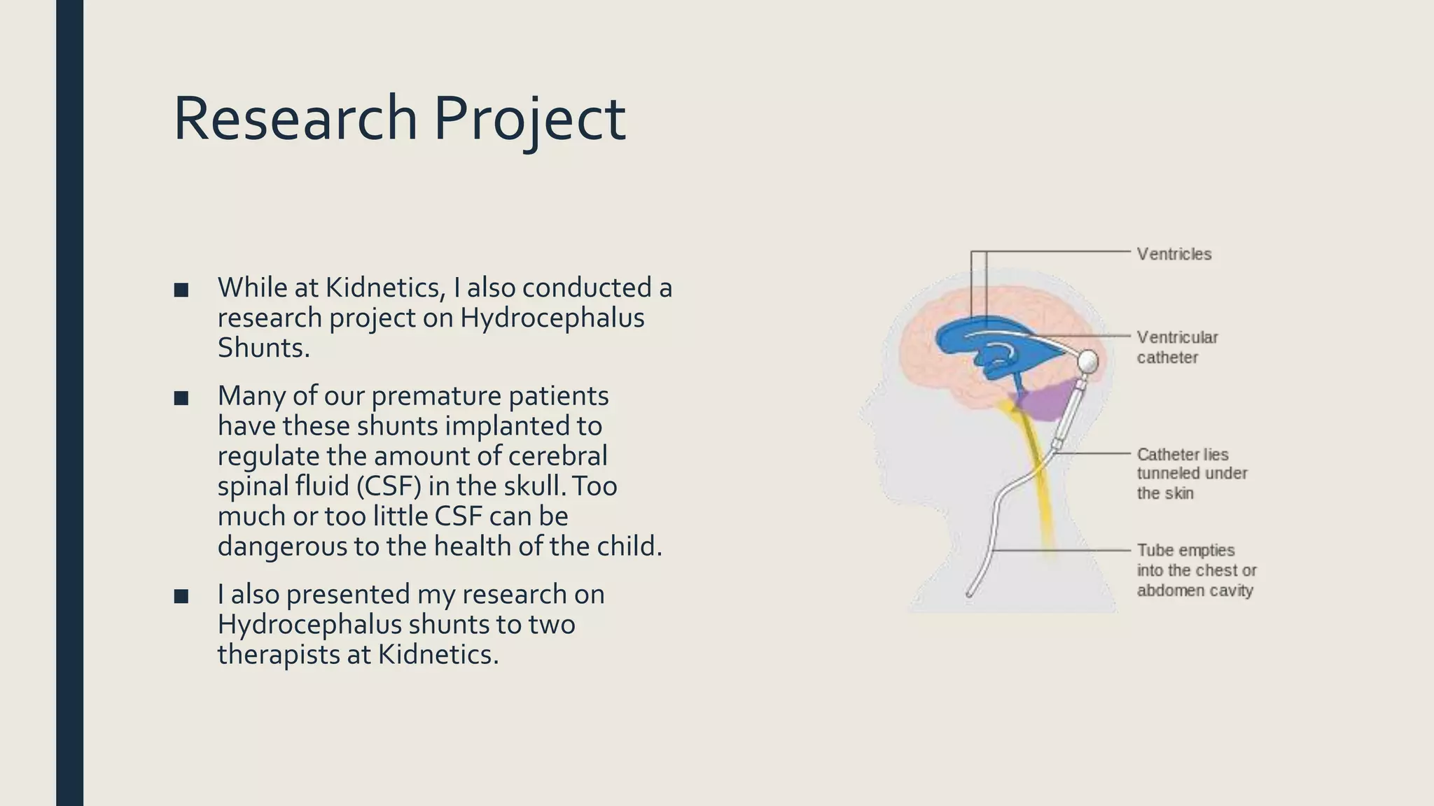 Internship overview powerpoint | PPT