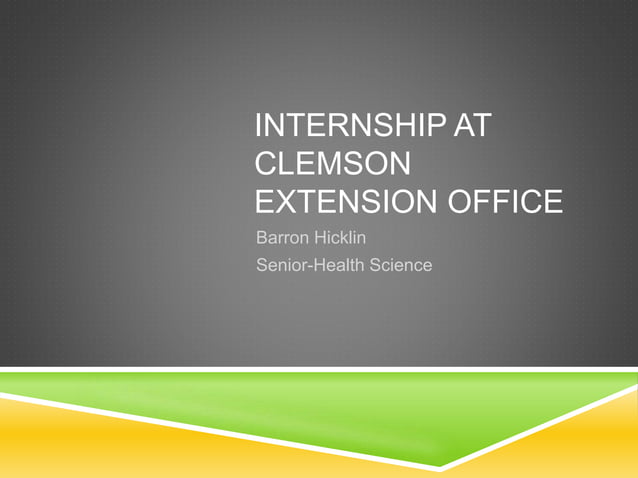 Internship ppt | PPT