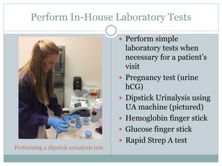 Internship Experience Powerpoint | PPTX