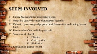 Industrial biotechnology | PPT