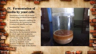 Industrial biotechnology | PPT