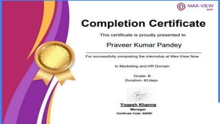 Internship At Maxview Now | PDF