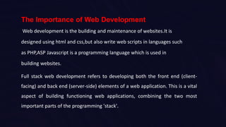 Internship full stack developer ppt report .pptx