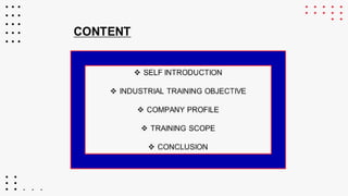 Internship presentation.pptx