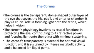 INTERNSHIP Presentation1.On physiology of the eye pptx | PPTX