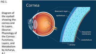 INTERNSHIP Presentation1.On physiology of the eye pptx | PPTX