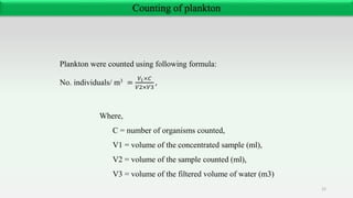 Assessment of the Plankton Biodiversity, Bay of Bengal, Cox's Bazar ...
