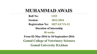 Internship presentation dvm (Dr. Muhammad Awais) | PPT