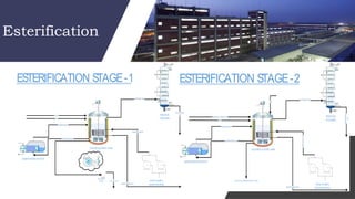 Internship presentation polymer group ntu | PPTX