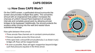 Internship project on Concentric Annular Pack Screen System (CAPS) at ...