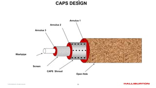 Internship project on Concentric Annular Pack Screen System (CAPS) at ...