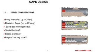 Internship project on Concentric Annular Pack Screen System (CAPS) at ...