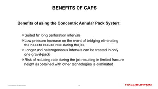 Internship project on Concentric Annular Pack Screen System (CAPS) at ...