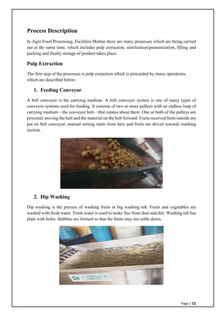 Internship report Agro food processing,Multan | PDF