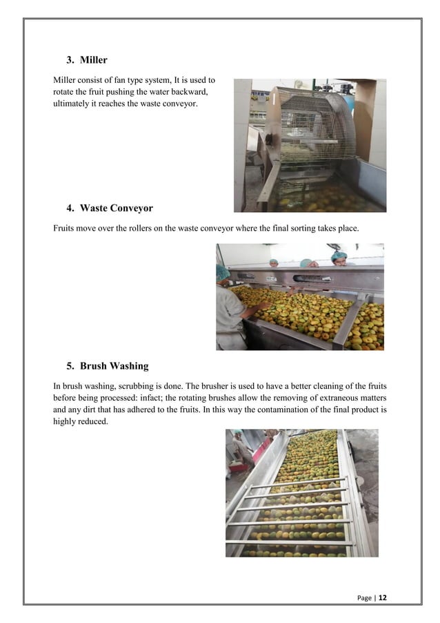 Internship report Agro food processing,Multan | PDF | Agriculture ...