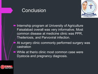 Internship report ali | PPTX