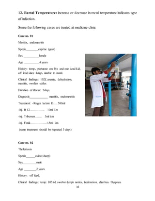 Internship report ali raza | DOCX