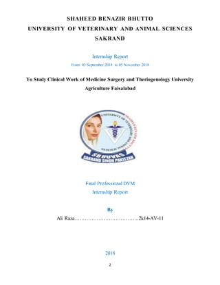 Internship report ali raza | DOCX