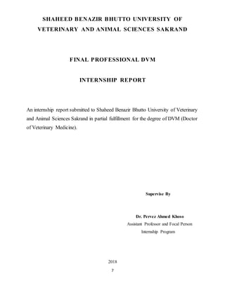 Internship report ali raza | DOCX