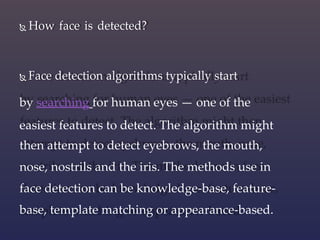 Internship report Cognizance 2023.pdf