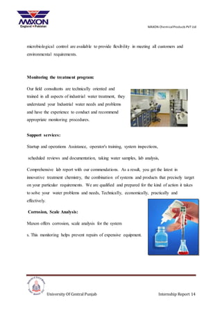 Internship report Maxon | DOCX