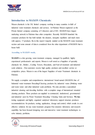 Internship report Maxon | DOCX