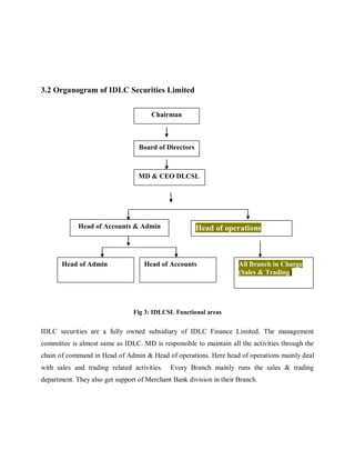 Internship report on idlc 072045 spring 11 | PDF