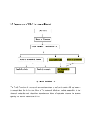Internship report on idlc 072045 spring 11 | PDF