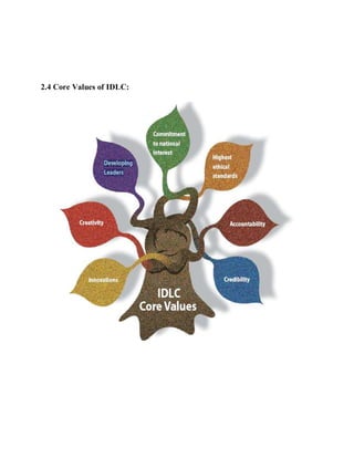 Internship report on idlc 072045 spring 11 | PDF