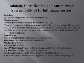 microorganism of isolation identification an antimicrobial | PPTX