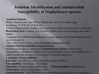 microorganism of isolation identification an antimicrobial | PPT