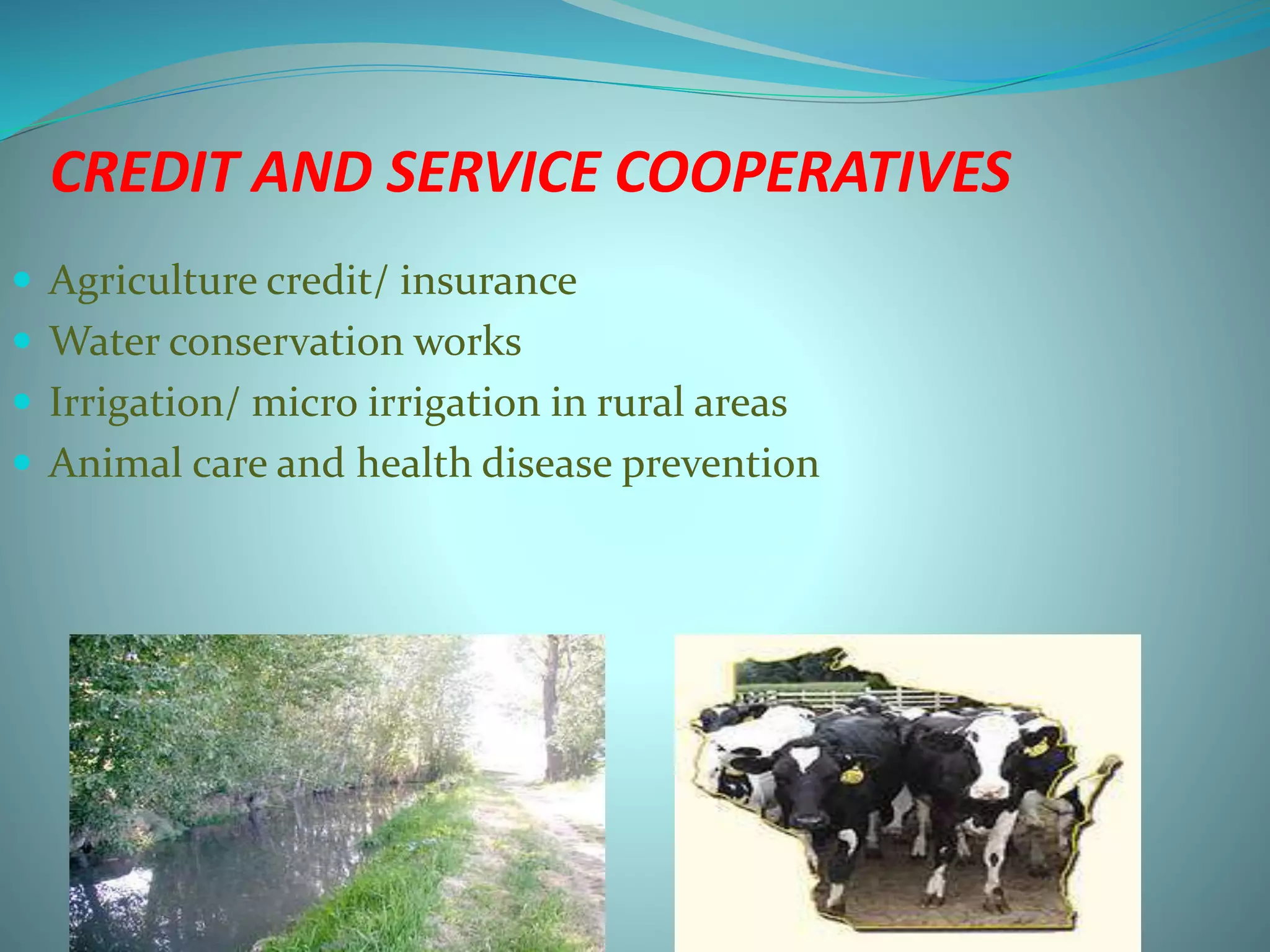 BUSINESS PLAN FOR COOPERATIVE SOCIETIES | PPTX