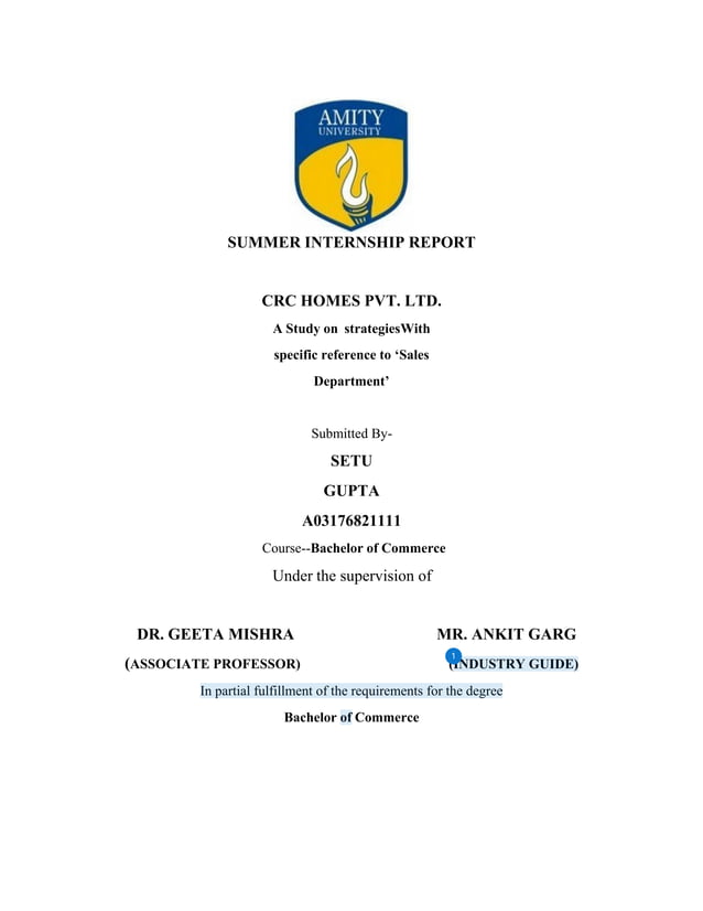 INTERNSHIP REPORT SETU GUPTA plag.pdf