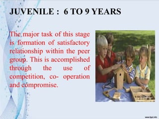 Interpersonal theory or sullivan theory | PPTX