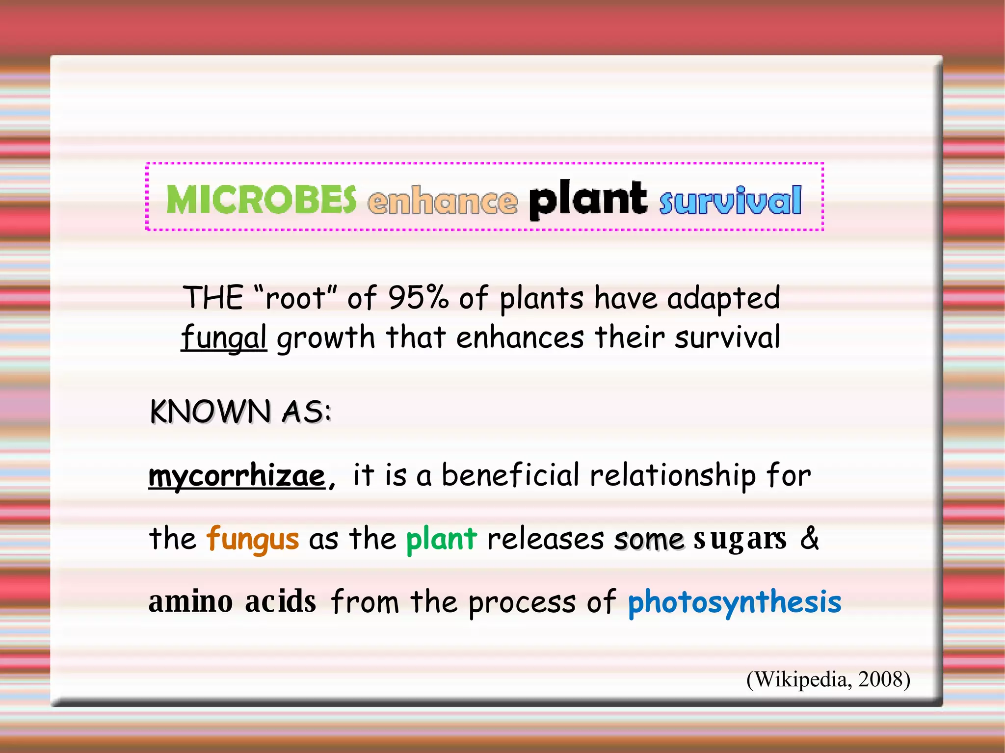 Plant & Microbe Interaction - plant roots | PPT
