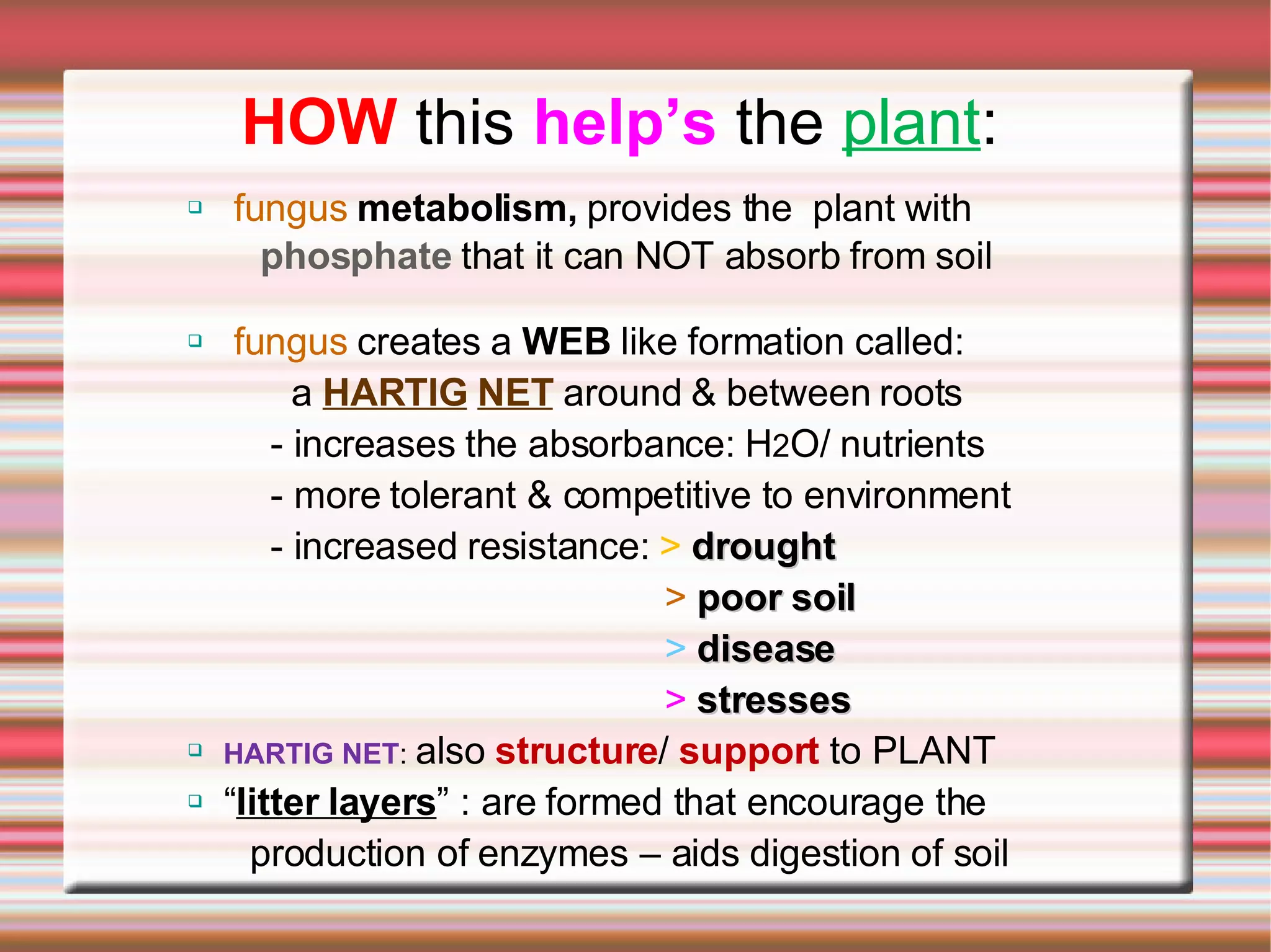 Plant & Microbe Interaction - plant roots | PPT