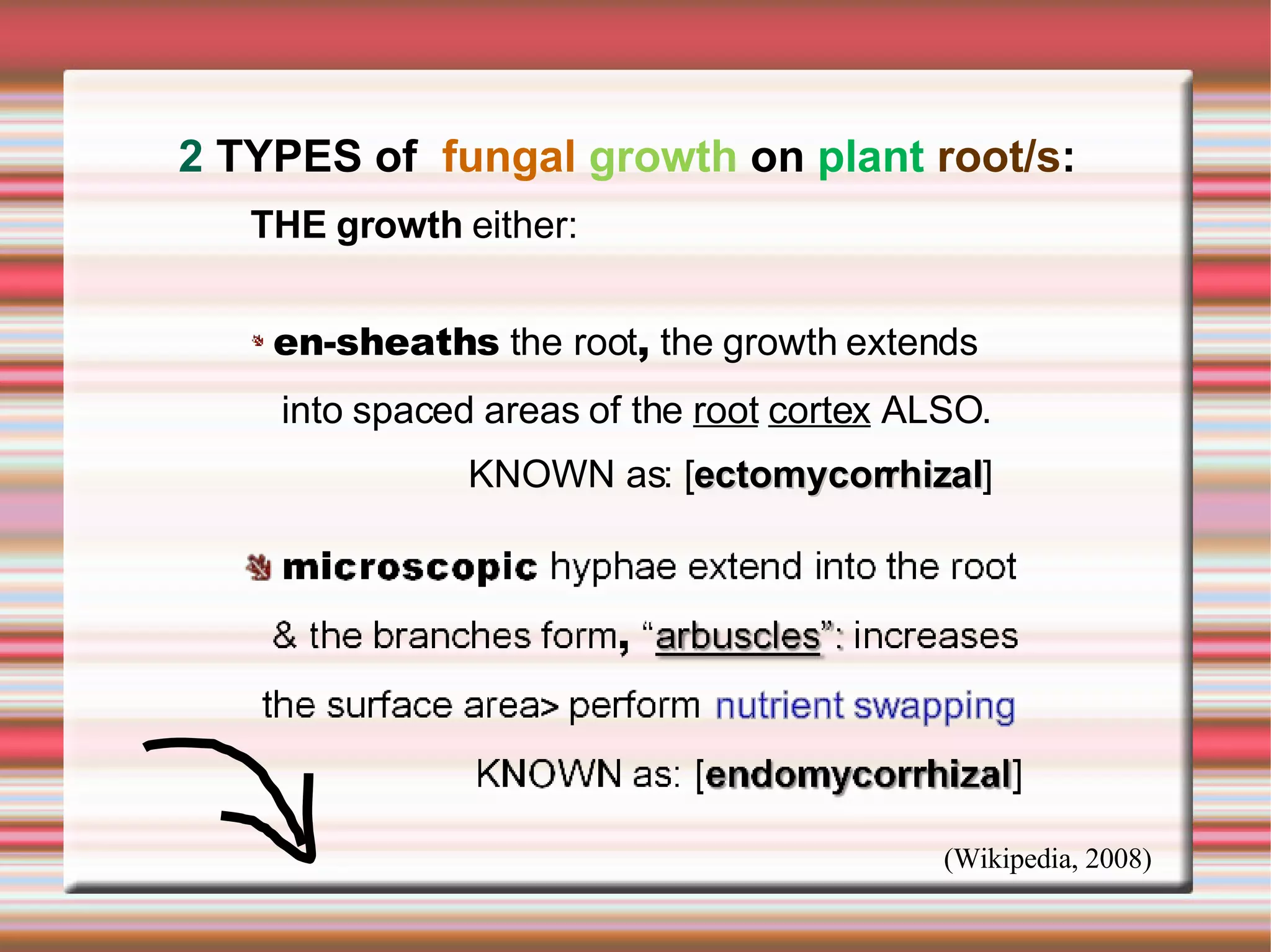 Plant & Microbe Interaction - plant roots | PPT