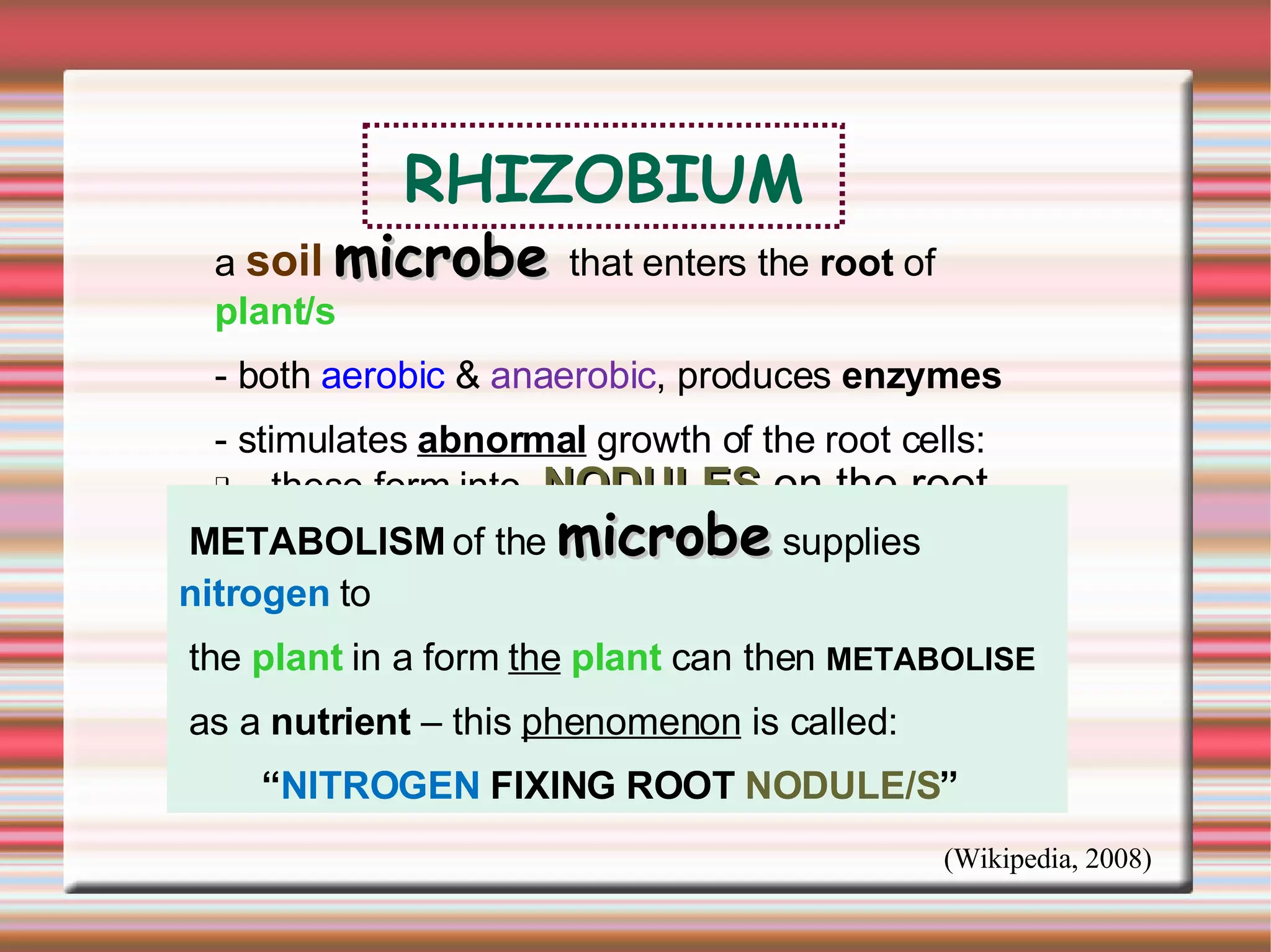 Plant & Microbe Interaction - plant roots | PPT