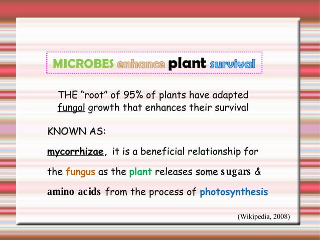 Plant & Microbe Interaction - plant roots | PPT