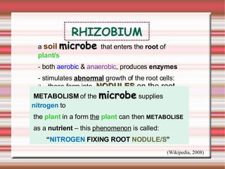 Plant & Microbe Interaction - plant roots | PPT